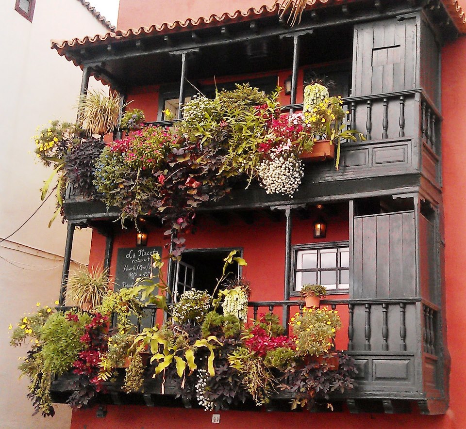 Um jardim para cuidar: A sorte de ter uma varanda