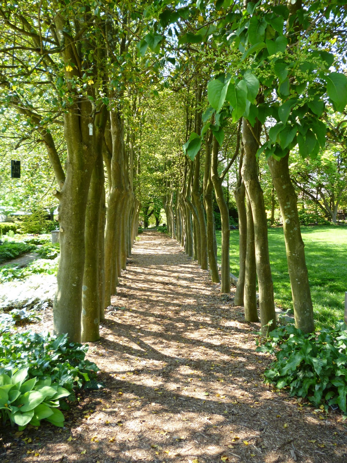 darlaville: a visit to Yew Dell Gardens