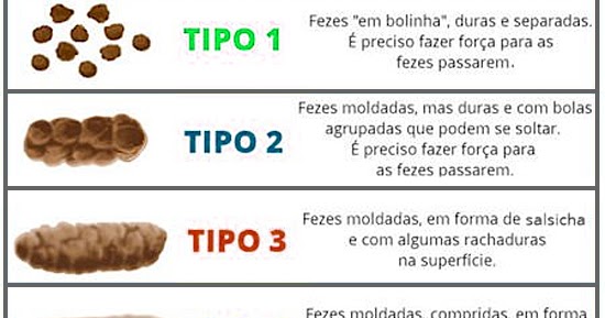 COMO SÃO AS TUAS FEZES?