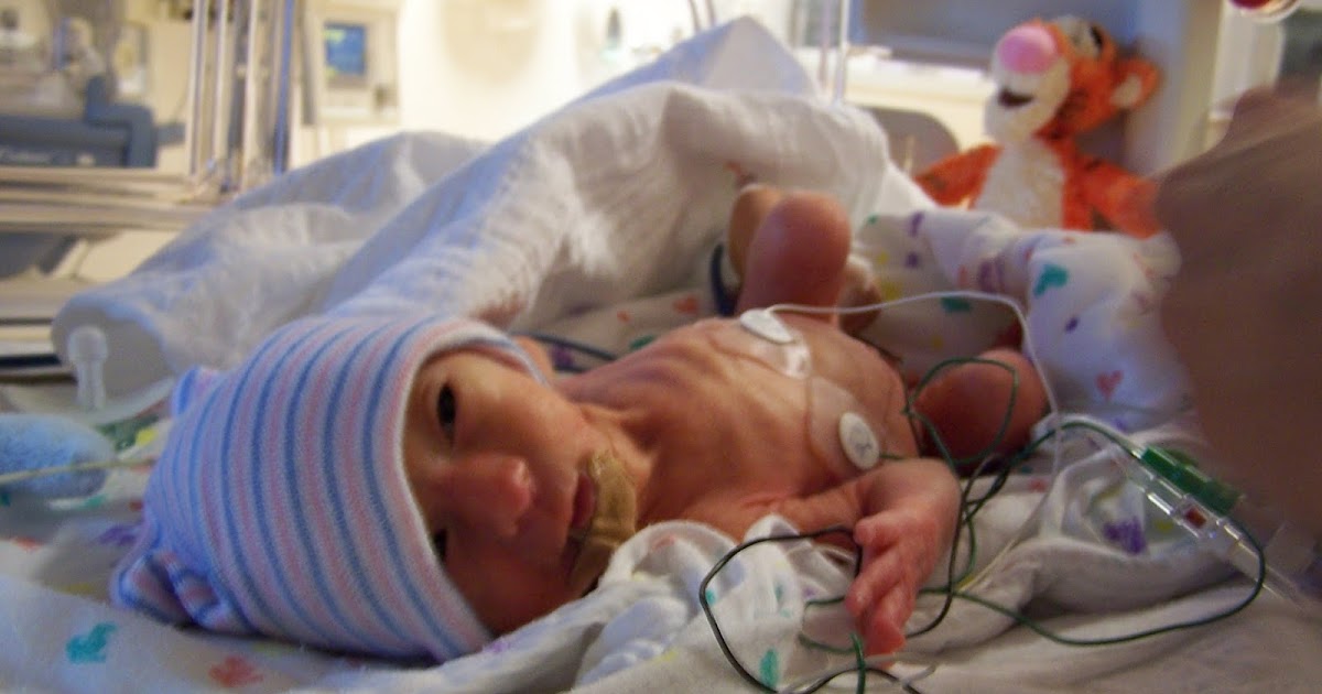 ABSINTHE MIND: Do You Follow The Herd, Or Do You Dare To Be Original ...