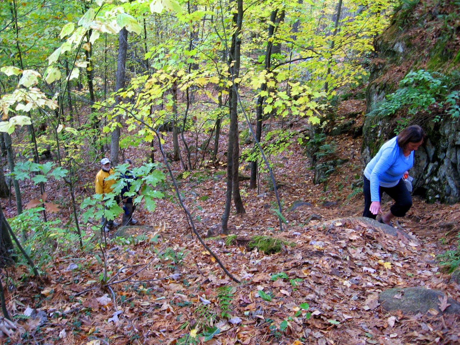 Birding-Kayaking-Babbling: Thanksgiving Paddle and Hike to Rock Dunder