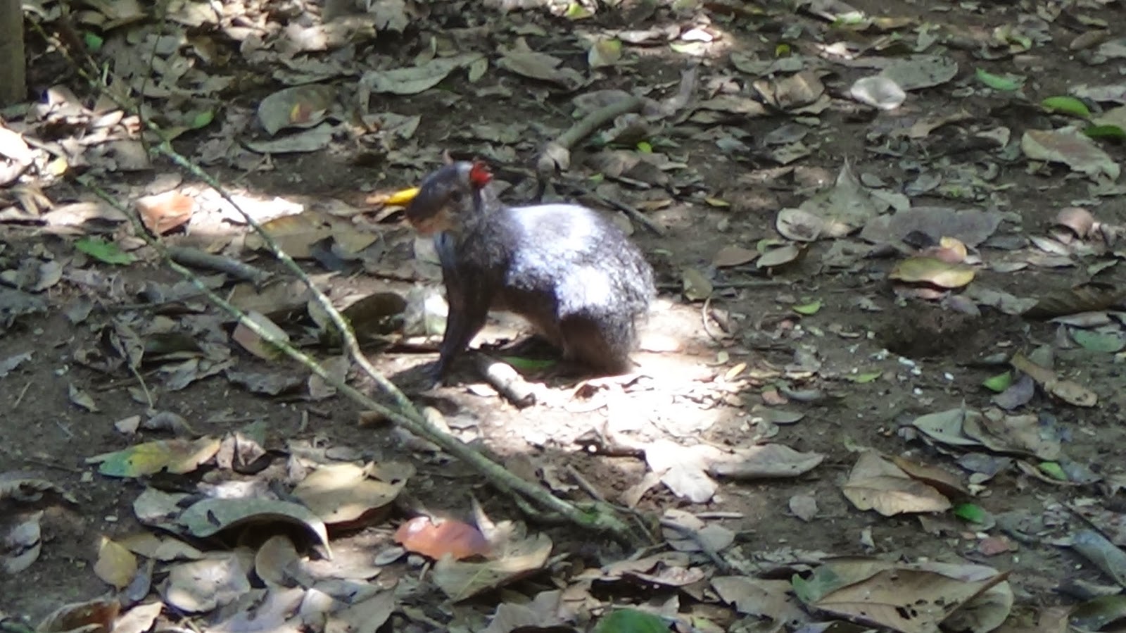 ZONA TURISTICA TENA: GALERIA