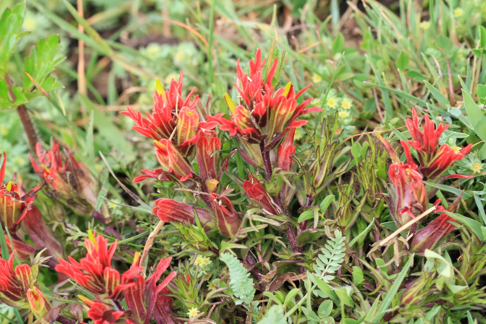 TravelMarx: February 2014