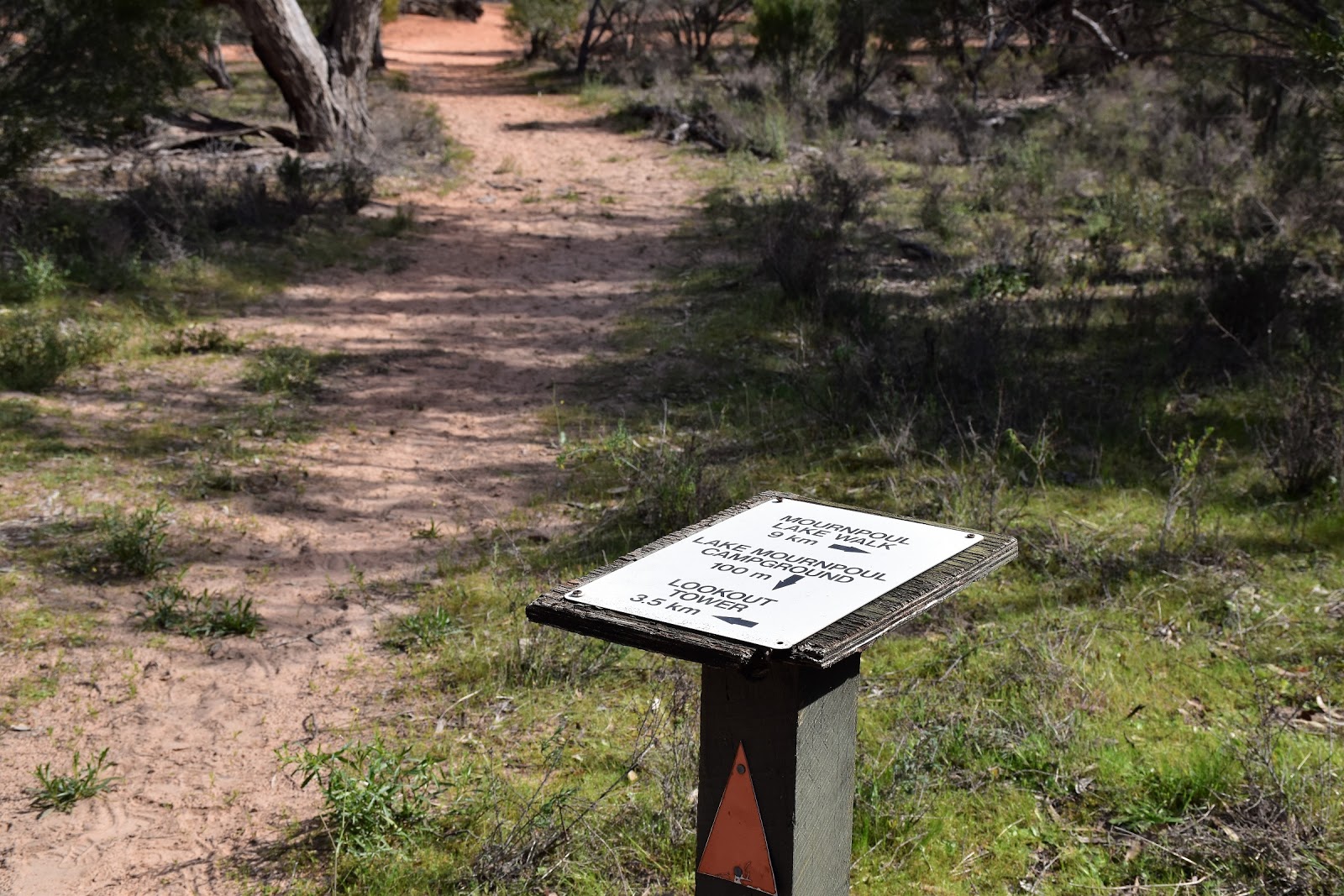 Goin' Feral One Day At A Time: Warepil Lookout Circuit, Hattah-Kulkyne ...