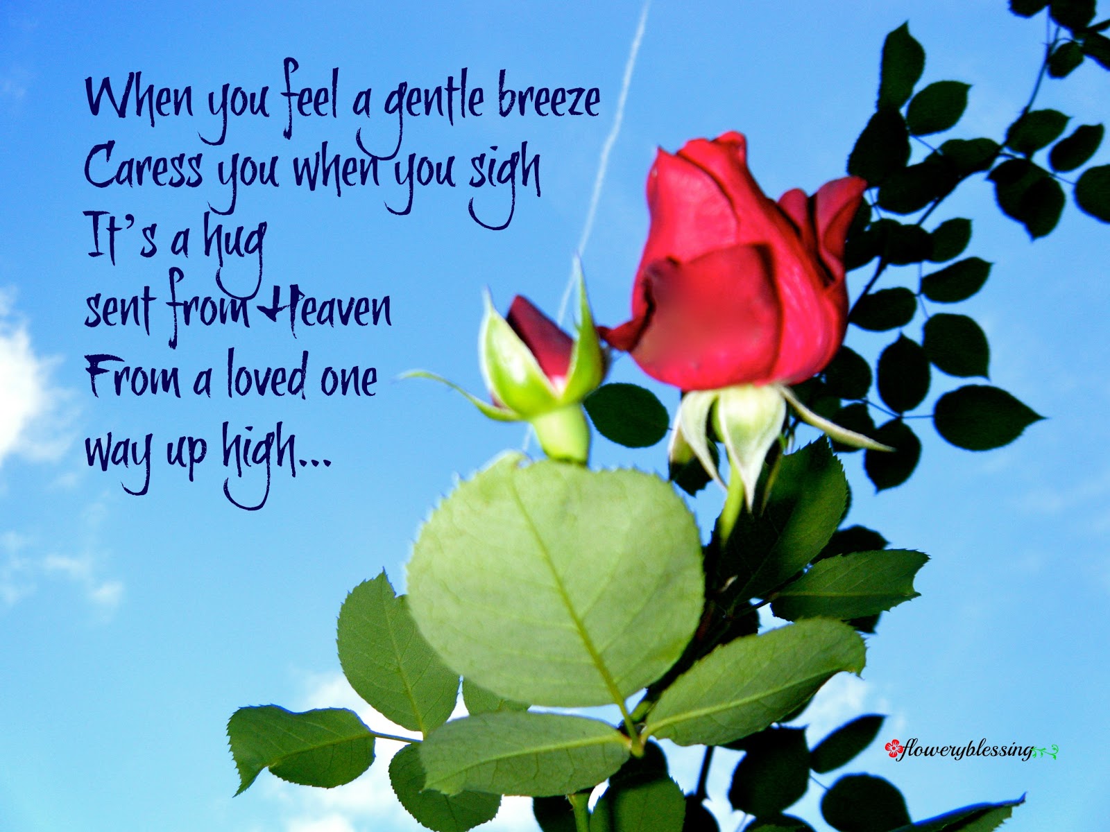 Flowery Blessing: When you feel a gentle breeze Caress you when you ...