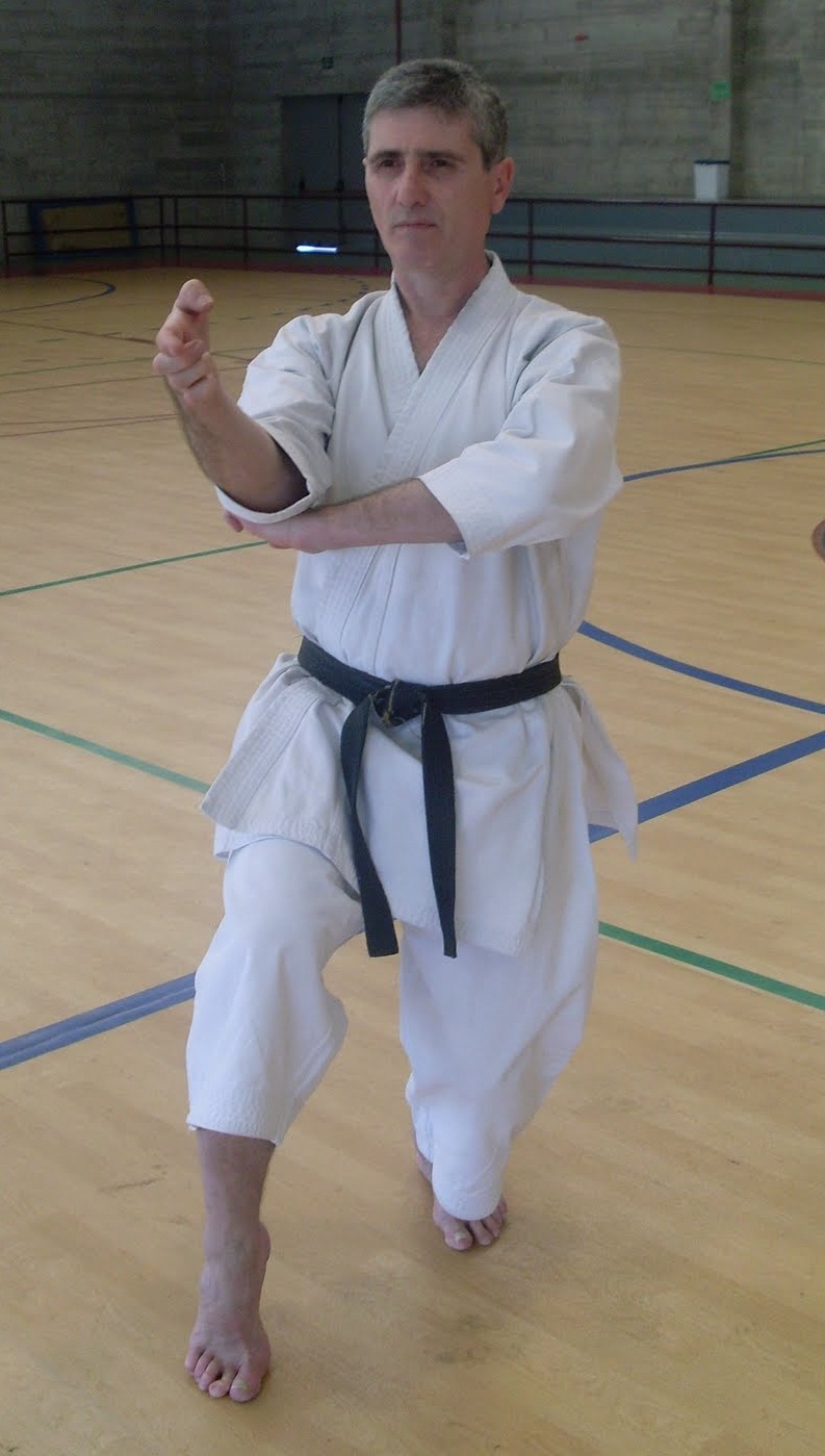 TOP KARATE NOTICIAS: Mundial París 2012 2a parte (grandes campeones)