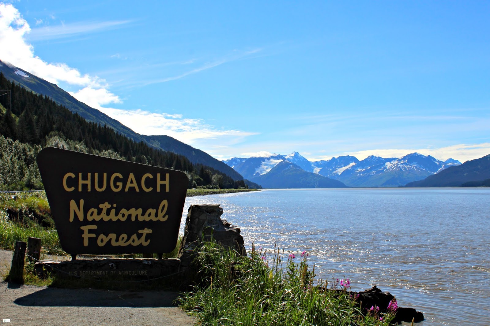 Scenic Seward Highway Drive (Turnagain Arm Drive) // Alaska | Caravan ...