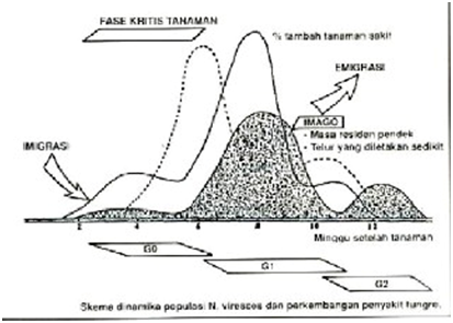 PENYAKIT TUNGRO PADA TANAMAN PADI ~ Menebar Manfaat degan Ilmu