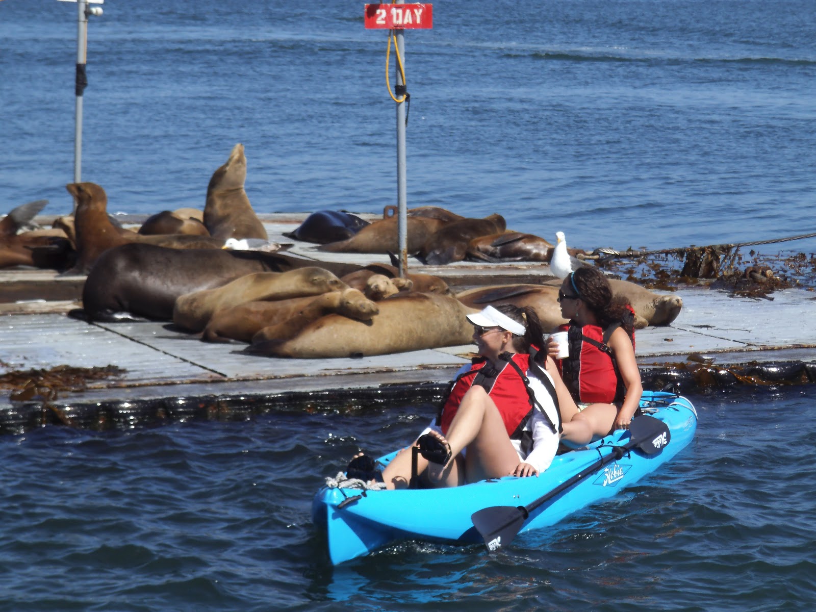 Fun Cat Sailing Catamaran Adventures