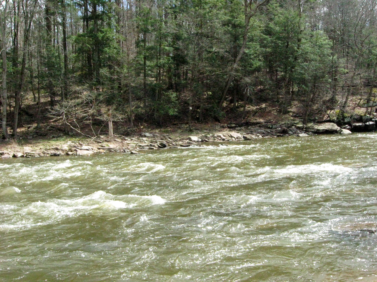 Let It Shine: Tohickon Valley Park and Ralph Stover State Park