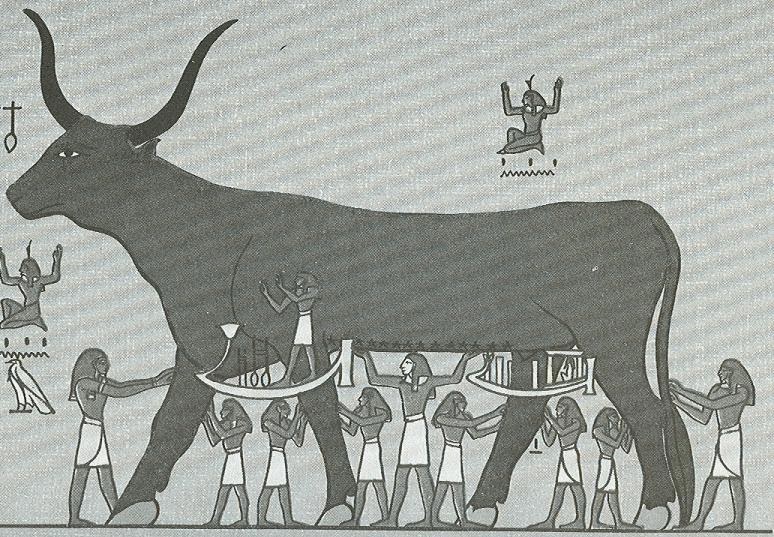 the goddess of the sky 'nut' as a cow or a woman