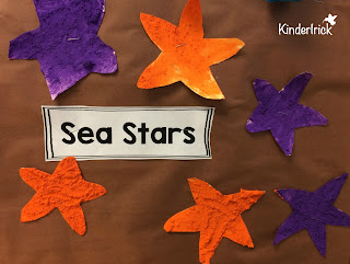 Ocean Invertebrates Unit | KinderIrick