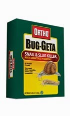 Orchid Obsession : Orchid Pests: Snails