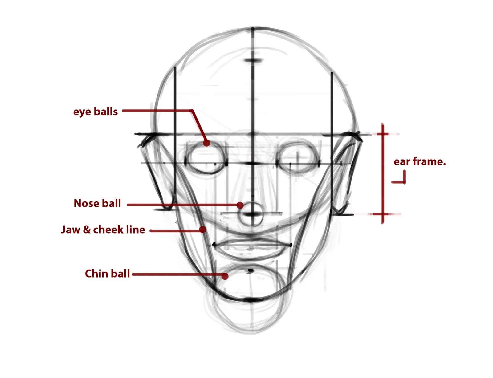 Tutorial #1 - drawing the human head