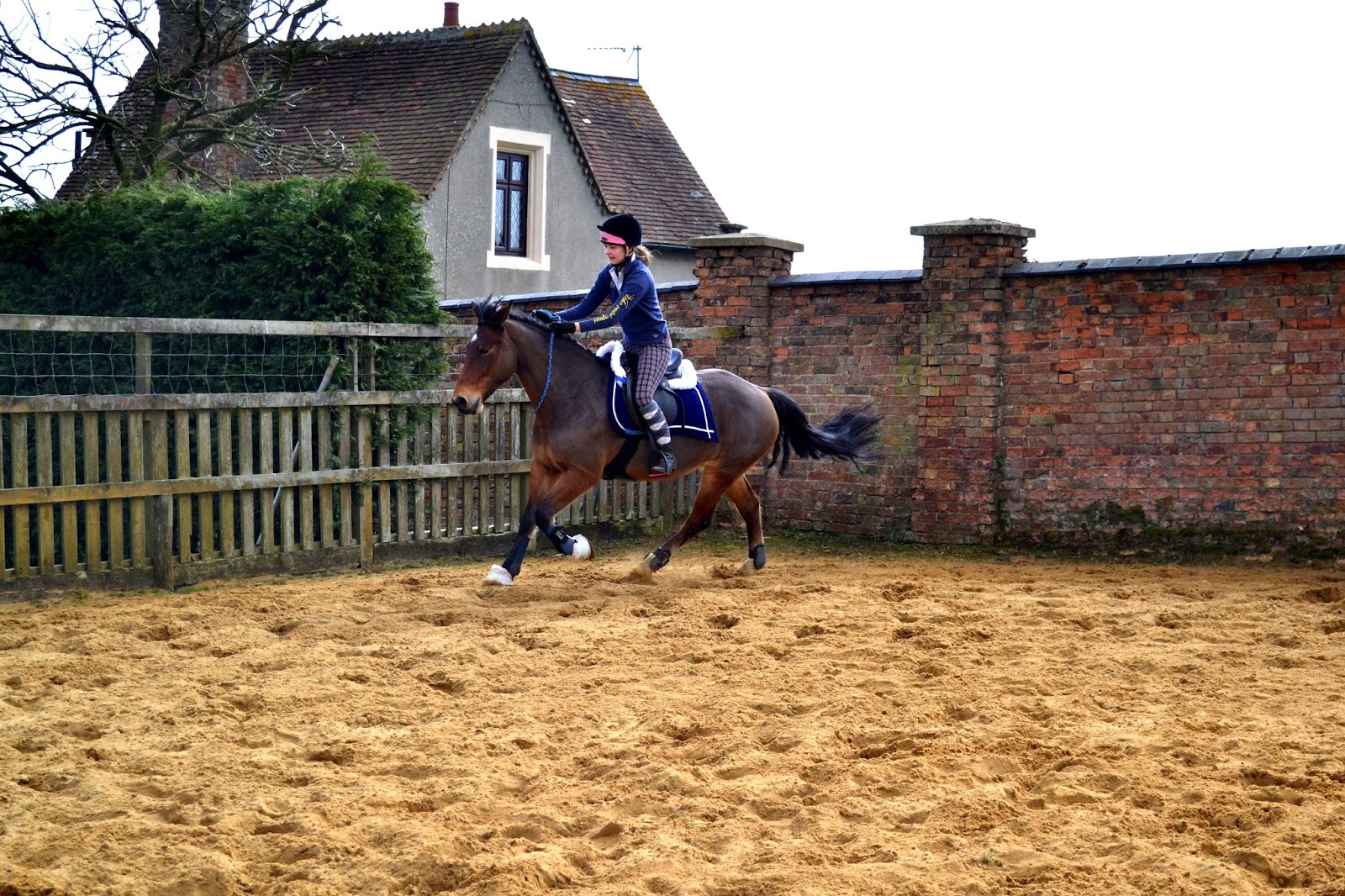 Little Gypsy Trotter: Neckrope riding!? 23/03/2015