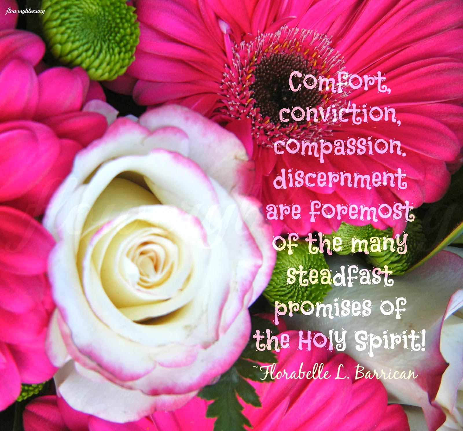 Flowery Blessing: Comfort, conviction, compassion and discernment are ...
