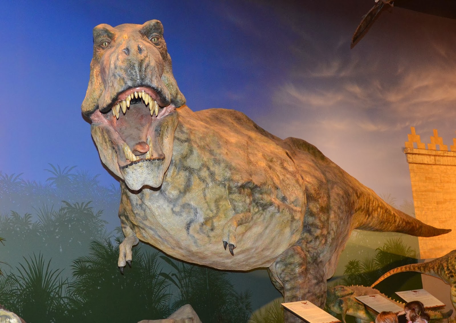 It's A Haigood Life!: Creation Museum in Kentucky!
