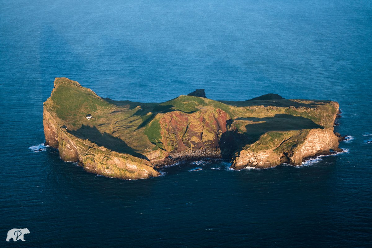 OLTRE IL MURO: ARTE e FOTOGRAFIA: CHRIS BURKARD | PHOTOGRAPHER