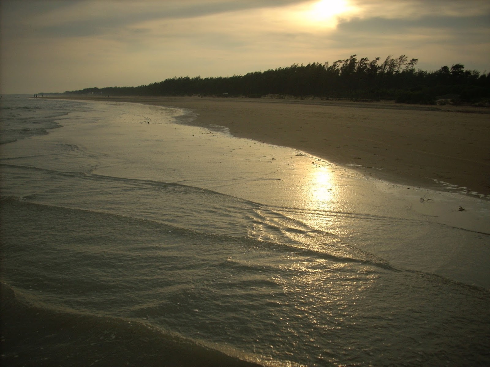 Vision: Travel : Tajpur(Coastal West Bengal) - A Refreshing Get-Away