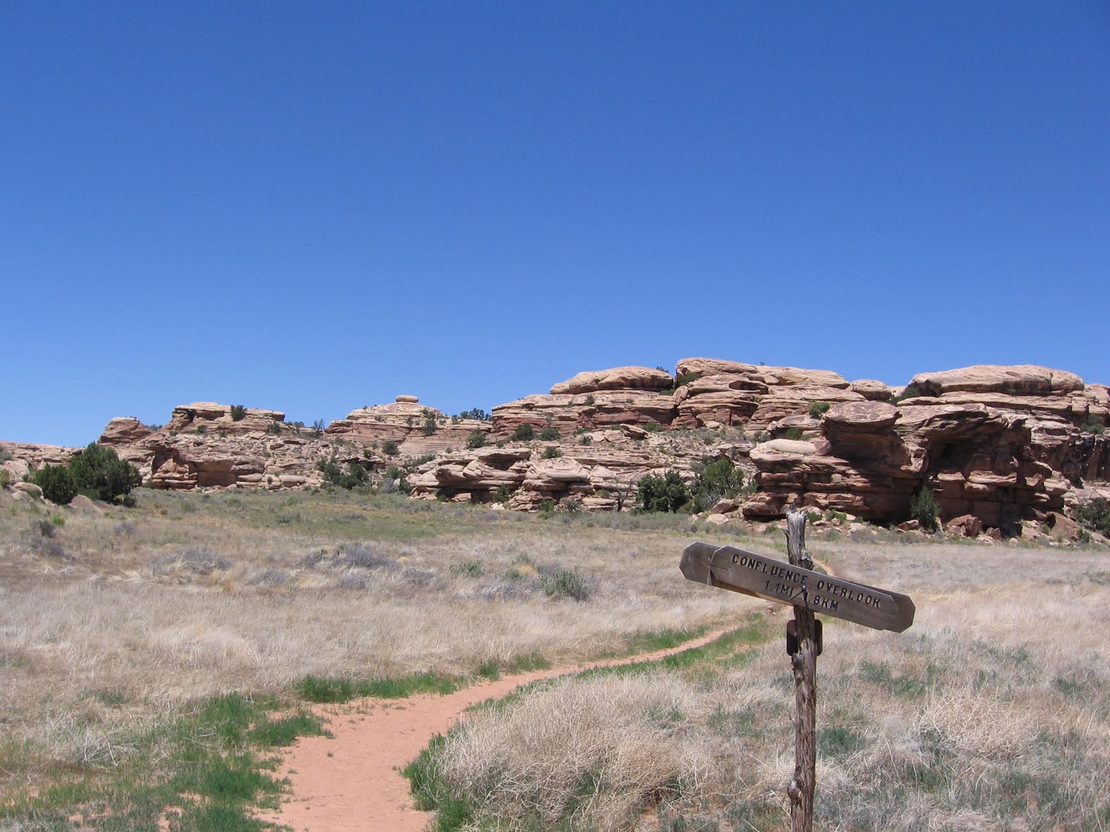 Four Corners Hikes-Canyonlands: Confluence Overlook Trail