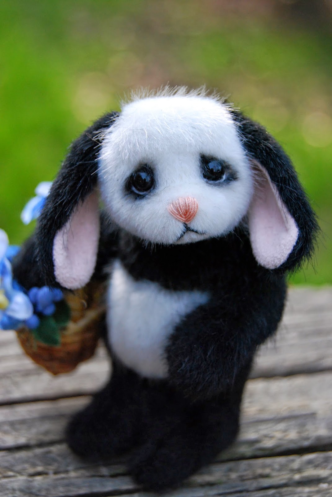 Donna and the Bears: Panda Bunny Lop