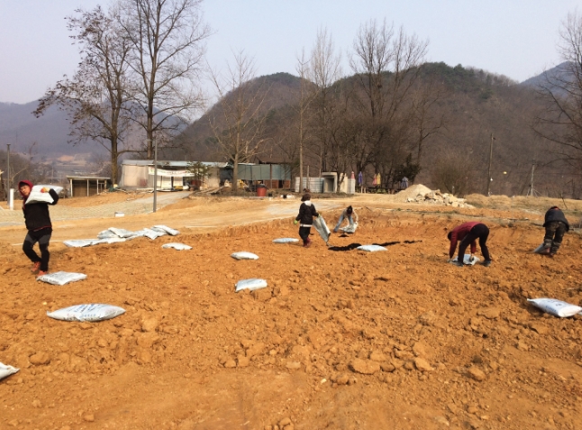 Dr. Lee's Sinus School (Cosoom Oriental Medicine Clinic) : April 2016