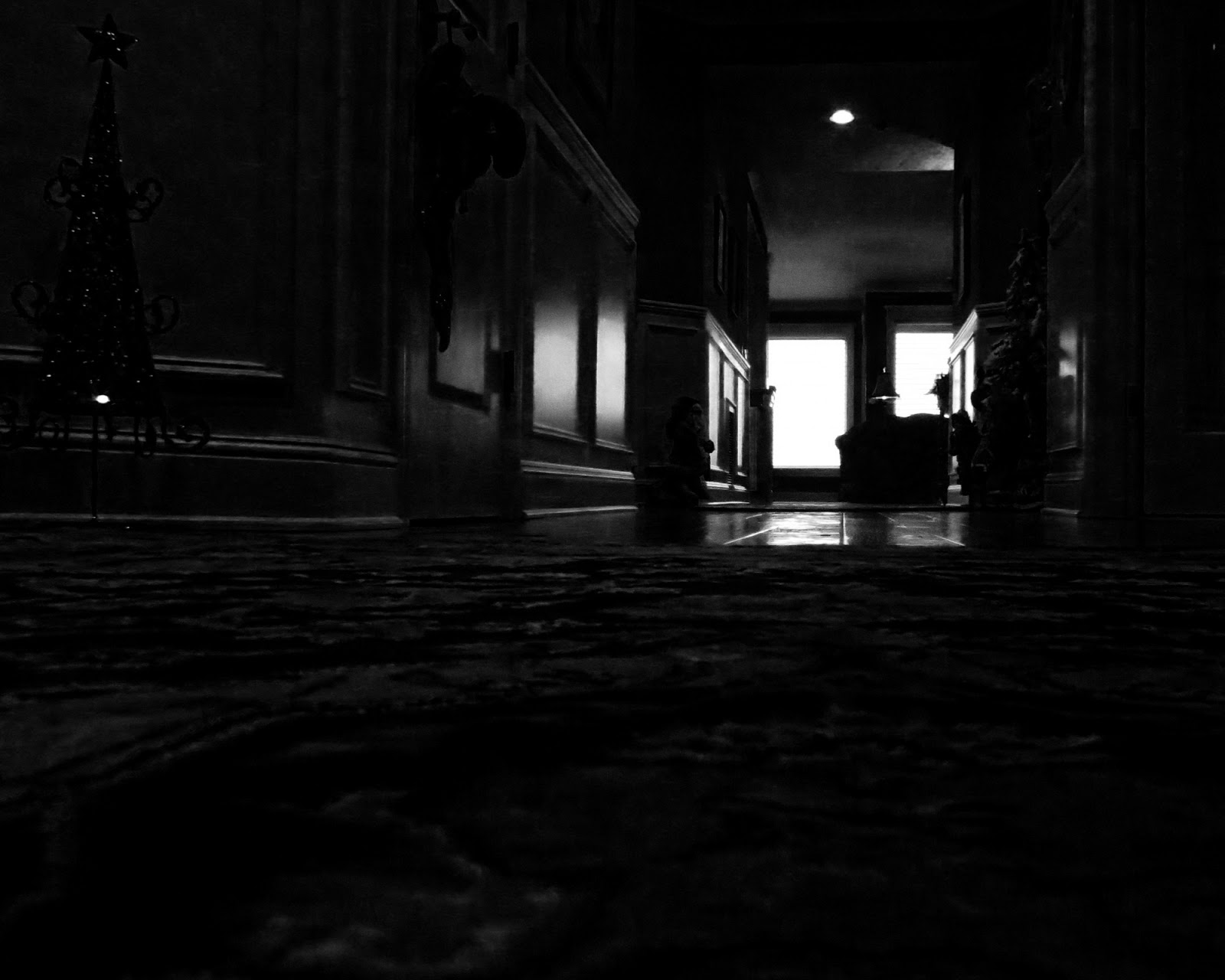 Steven Kristoff Photography