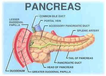 Nectura Jakarta: Gejala Umum Kanker Pankreas