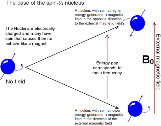 savvy-chemist: Spectroscopic Techniques (1) Nuclear Magnetic Resonance ...