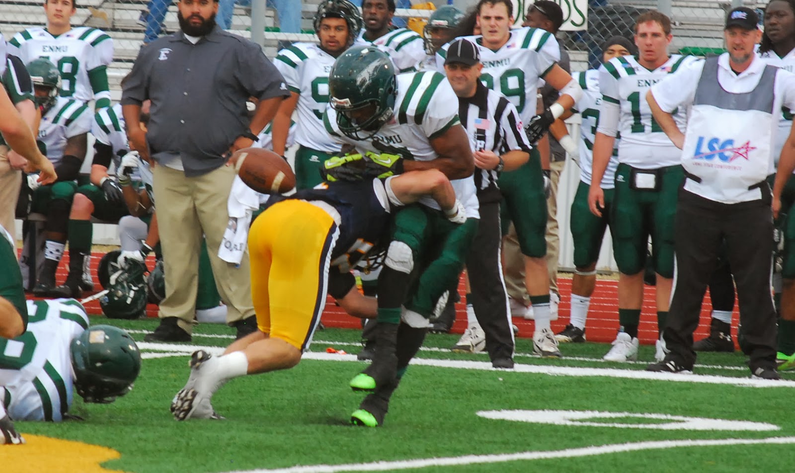 Terrell Daily Photo: College football