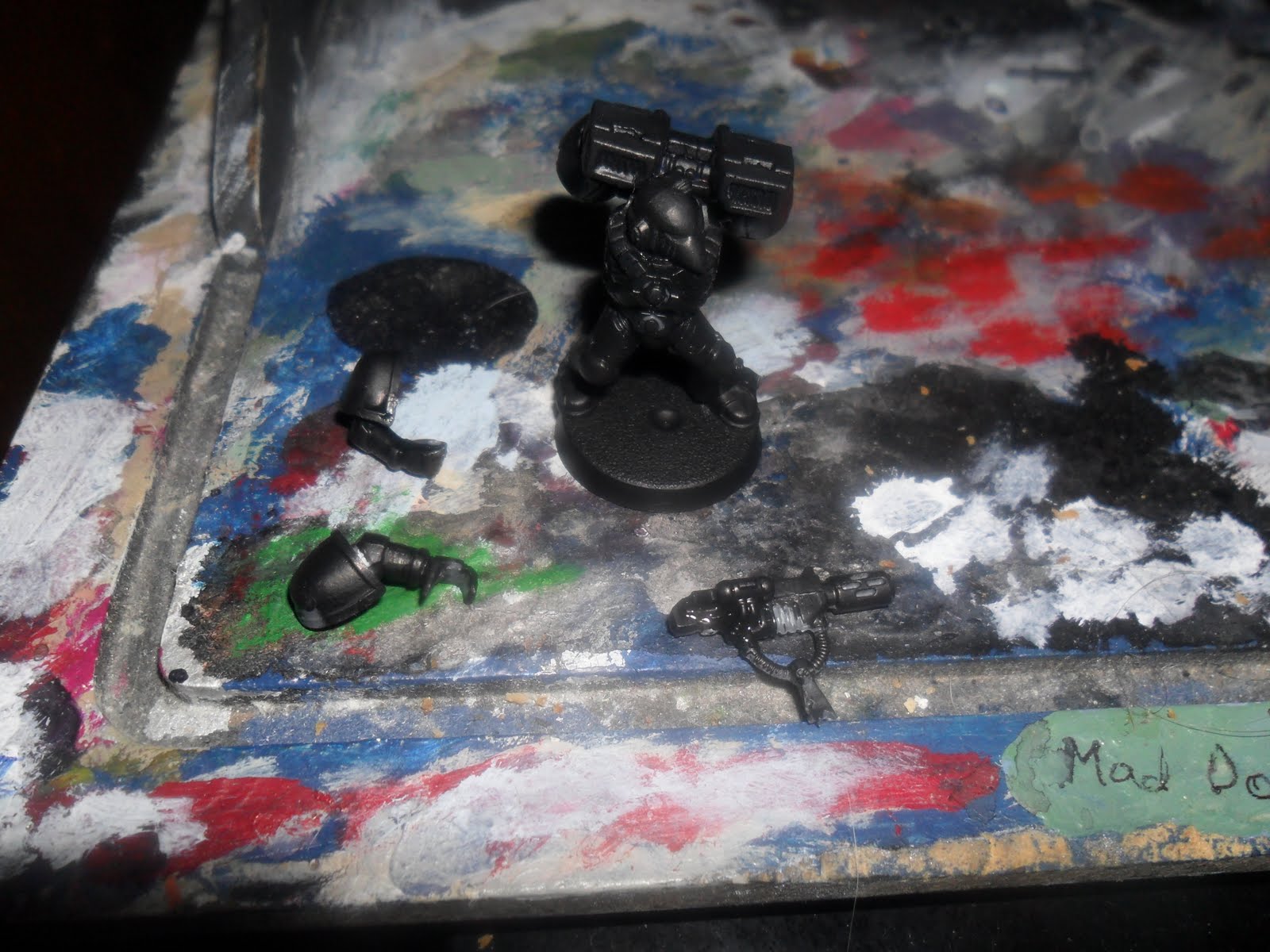 A Murder of Ravens: Anatomy of a Raven; Part 1