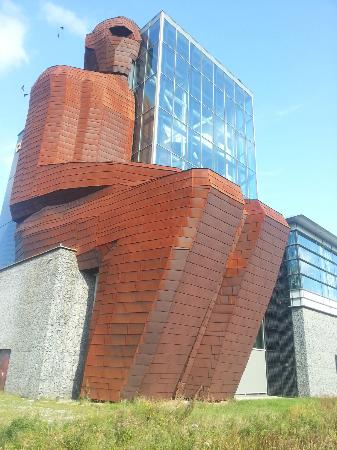 Corpus Museum of Human body in Holland ~ Leisure Travel Egypt