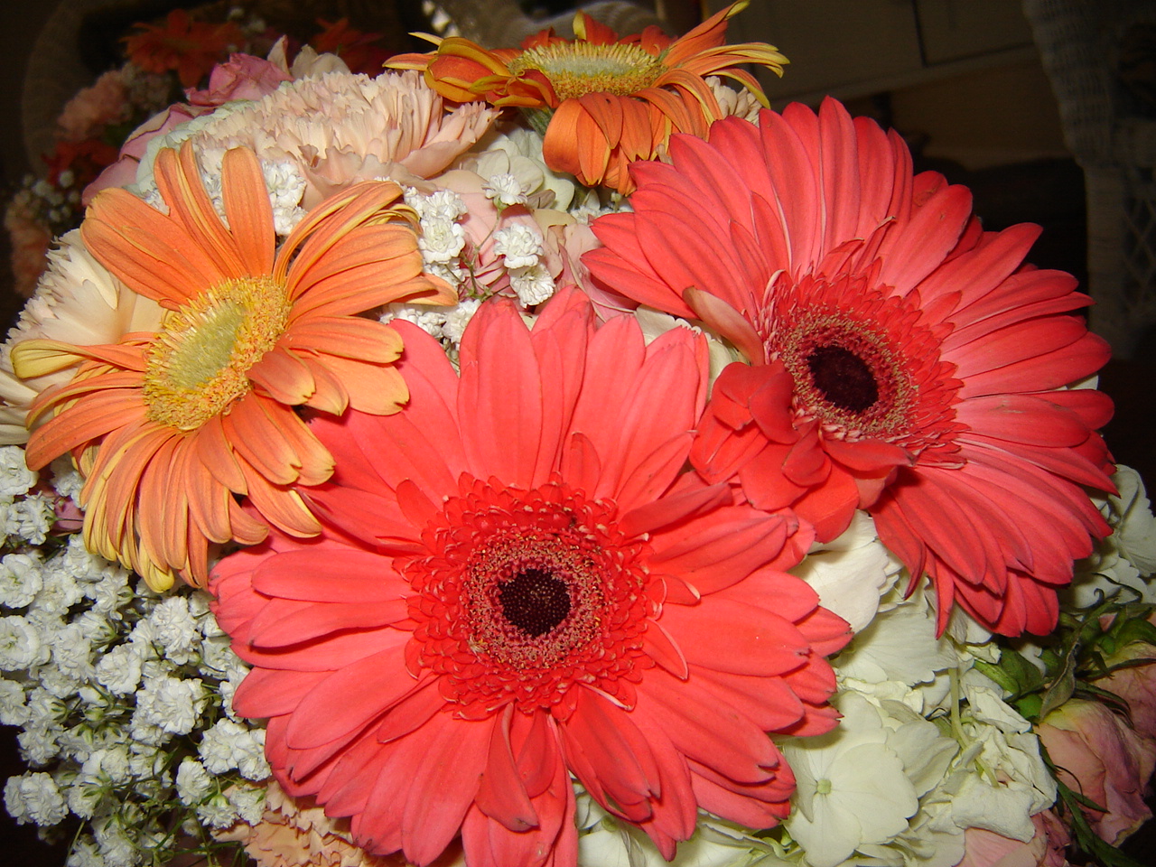 Pressed Garden: Blush & Peach Gerbera Daisy Bridal Bouquet!