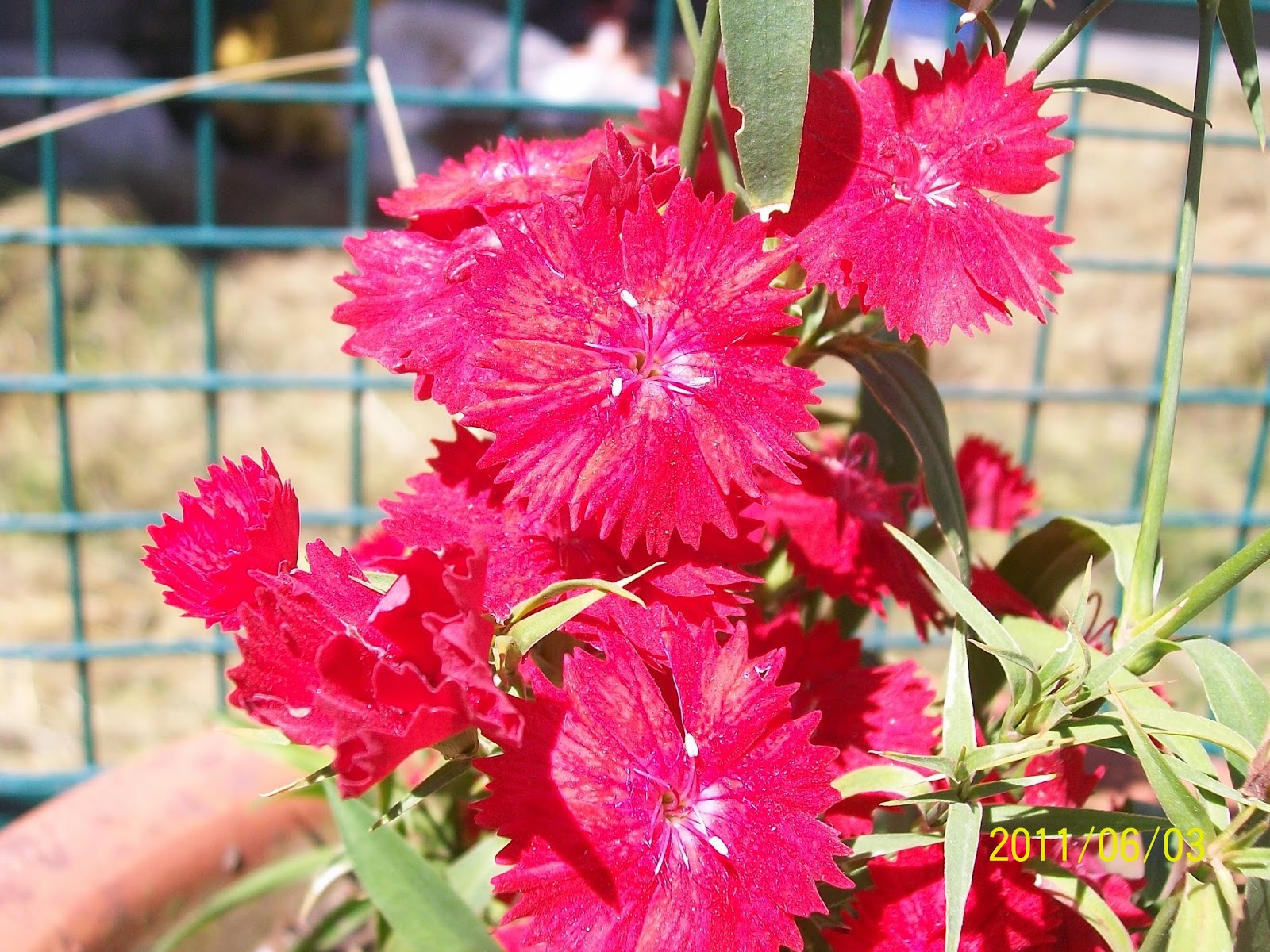 Sonal Travels - "Our Belief Repeat Customers": Manali - Nature at its Best