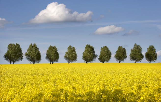 Mellem himmel og jord: Sommer.....