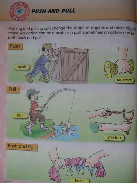 SCIENCE YEAR 2: UNIT 7