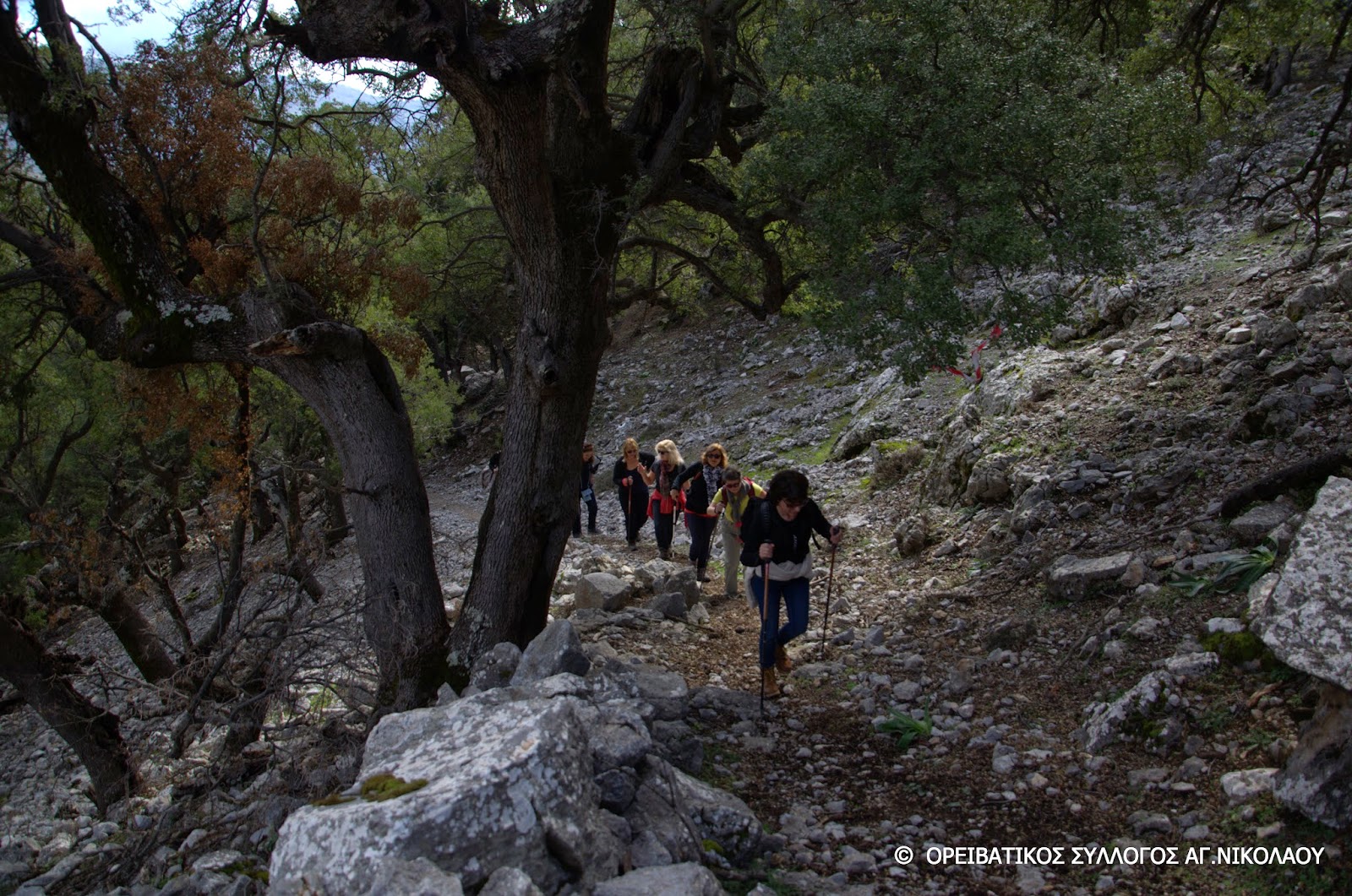 EXPLORE MOUNTAINS: ΠΕΖΟΠΟΡΙΑ :ΜΕΤΑΞΟΧΩΡΙ-ΠΗΓΗ ΣΚΑΦΙΔΙΑ-ΚΑΛΥΒΕΣ-ΖΩΝΑΡΙ ...