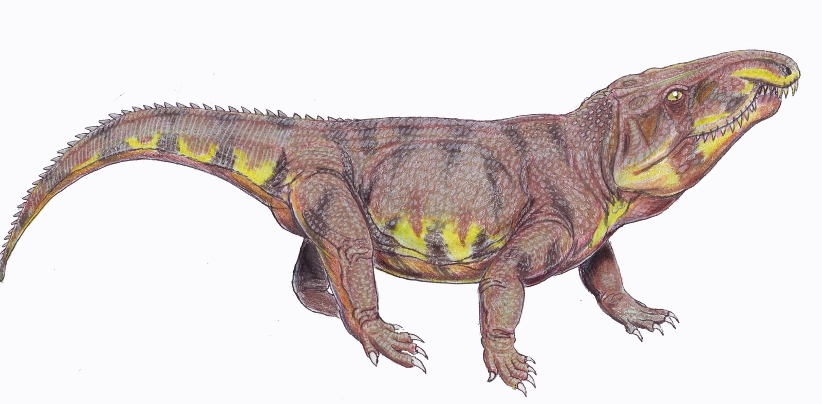 Los animales en la prehistoria: Animales prehistóricos con la letra C