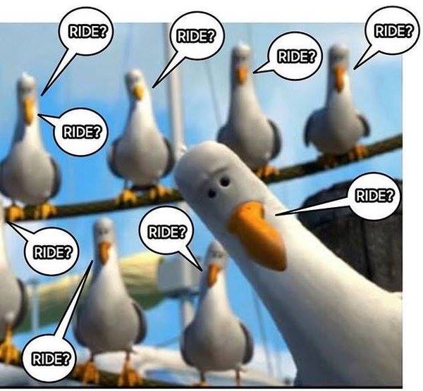 Penguin Road Racing School: Penguin Riding School - Street Rider Track ...