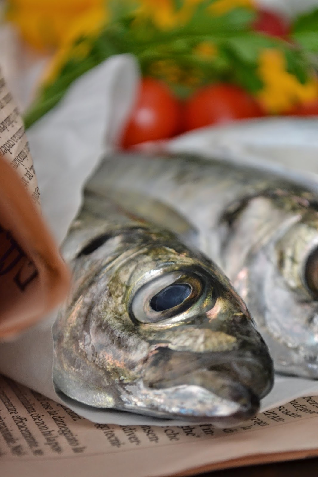 La creatività e i suoi colori: Suri sottovento: ricetta tipica delle Marche