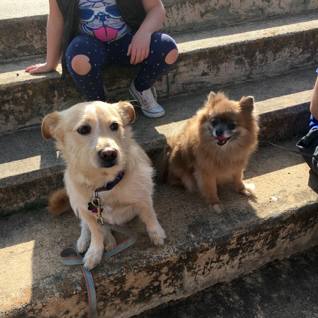 pretty little victories