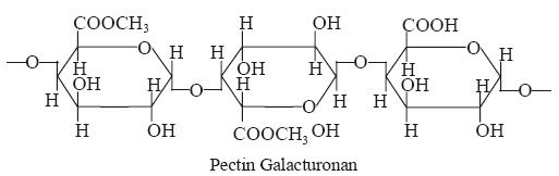 Pectin