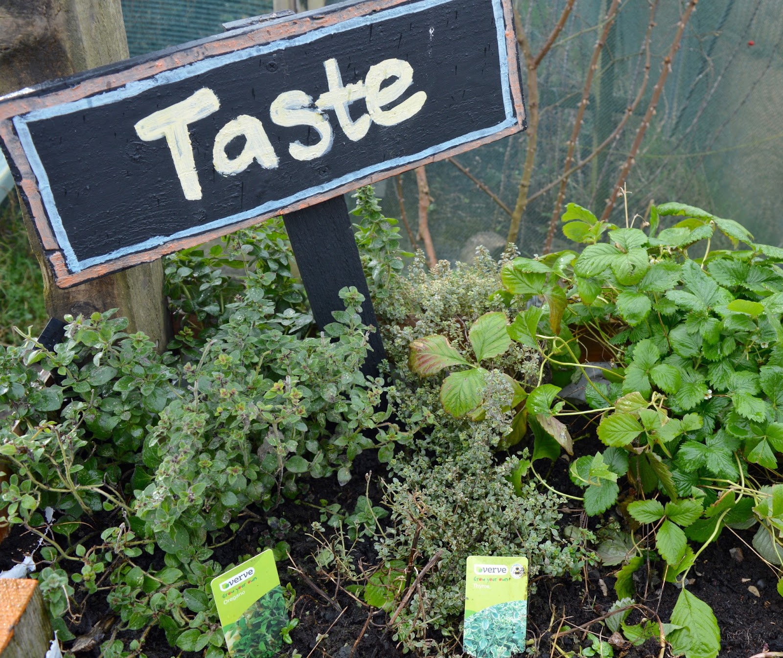 Ouseburn Farm Newcastle | A FREE Place to Take the Kids | North East ...