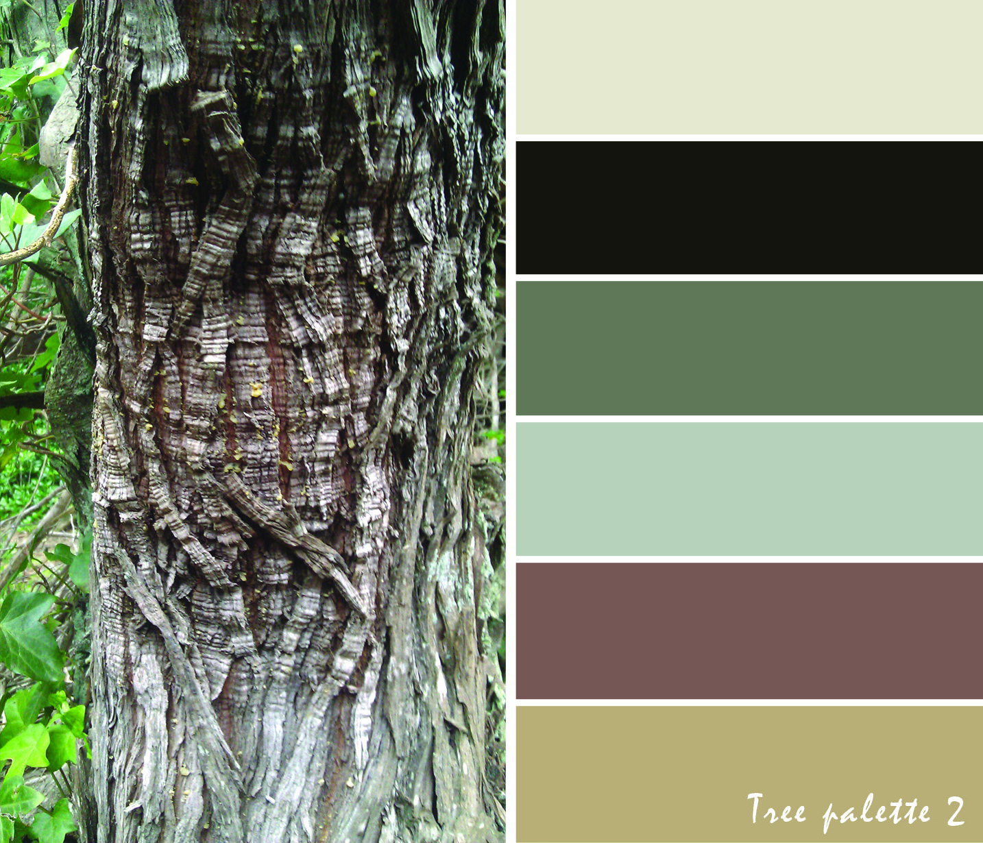 MARIA TORTI blog: * Color Palettes from Nature