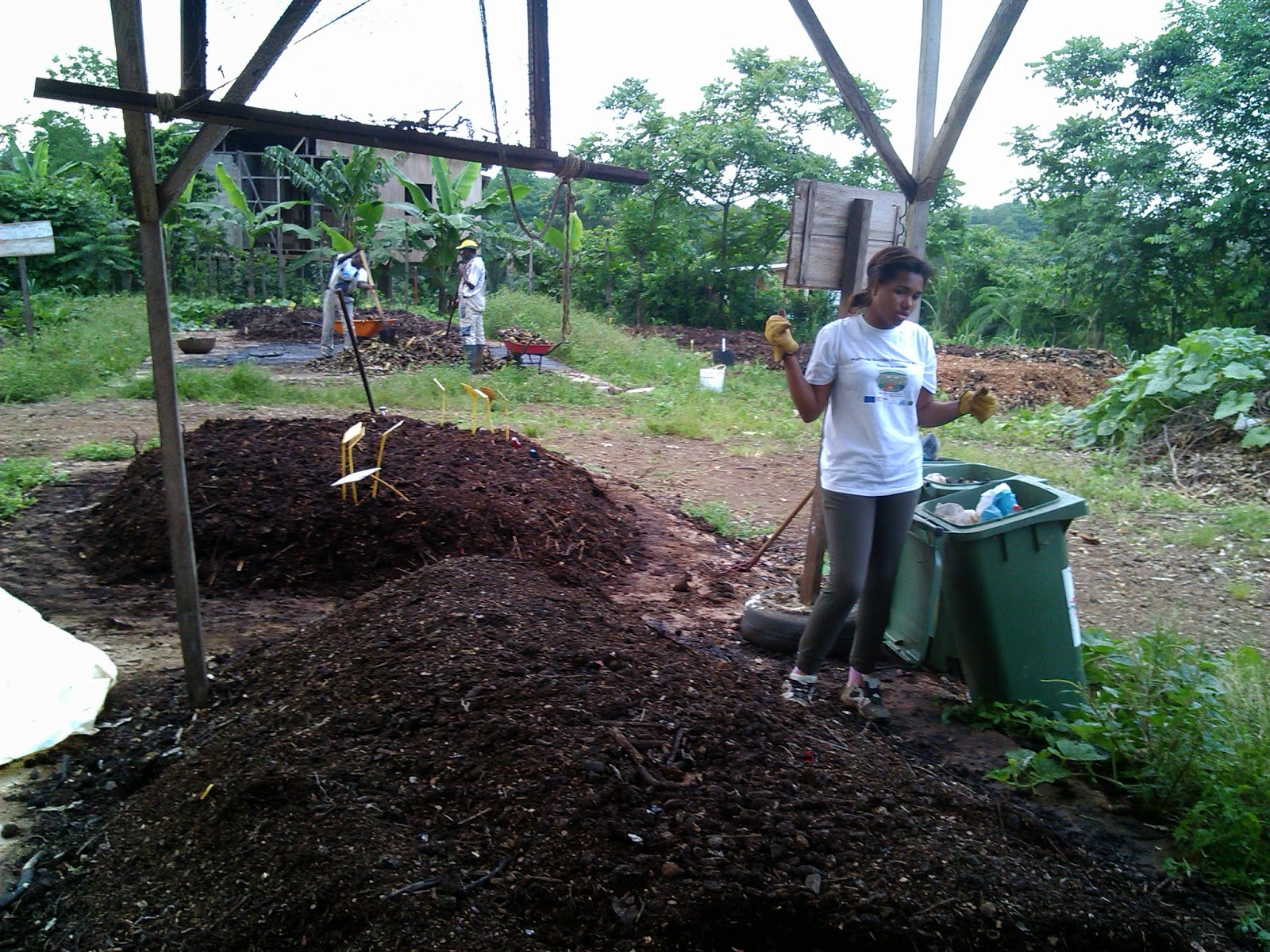 São Tomé Limpo: Composting in São Tomé e Príncipe, West Africa ...