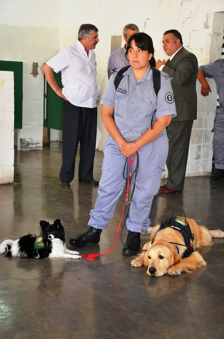 PRISON DOG PROGRAMS ~ BRIDGES and PATHWAYS of COURAGE