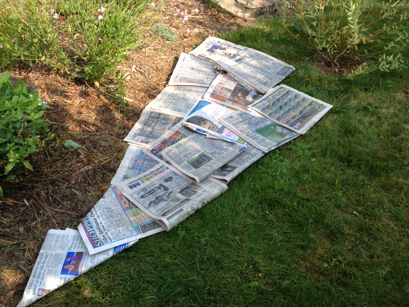 Oasis: Creating a Landscaping Bed