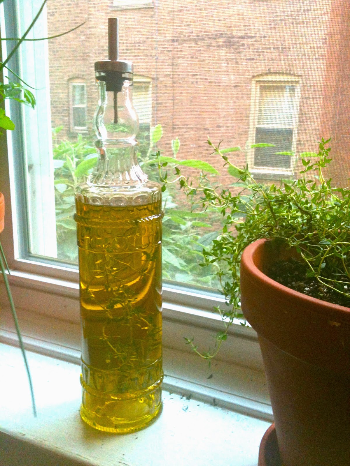 Pondering Darling: How to make Herbal Infused Medicinal oils.