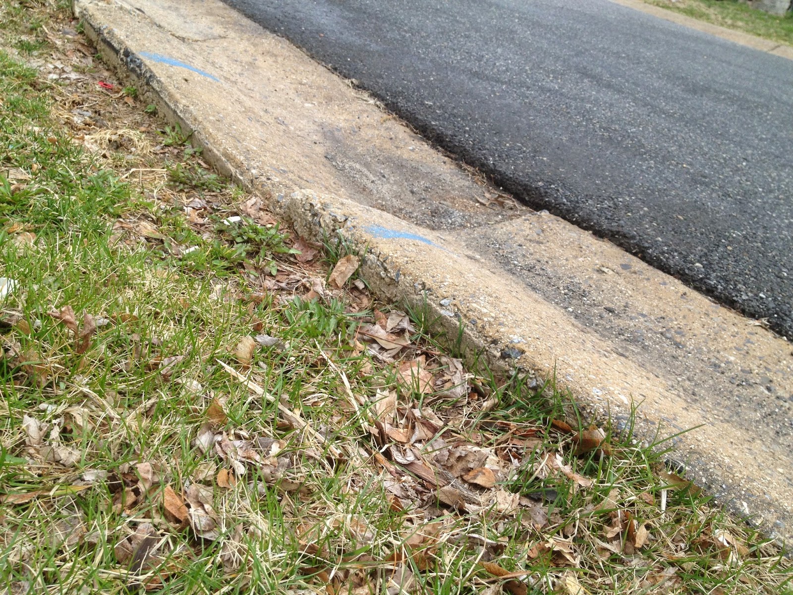 Brookland Terrace Civic Club: Sinking Curb 100 Armstrong Ave Reported ...