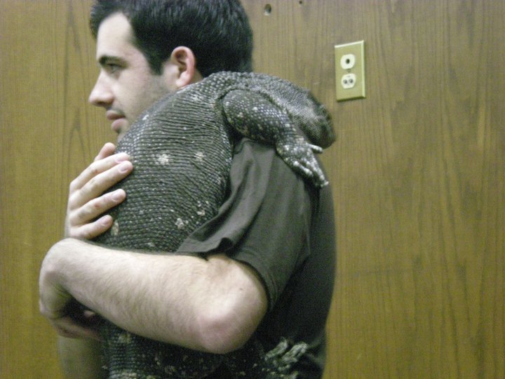 Prehistoric Beast of the Week: Palaeosaniwa: Beast of the Week